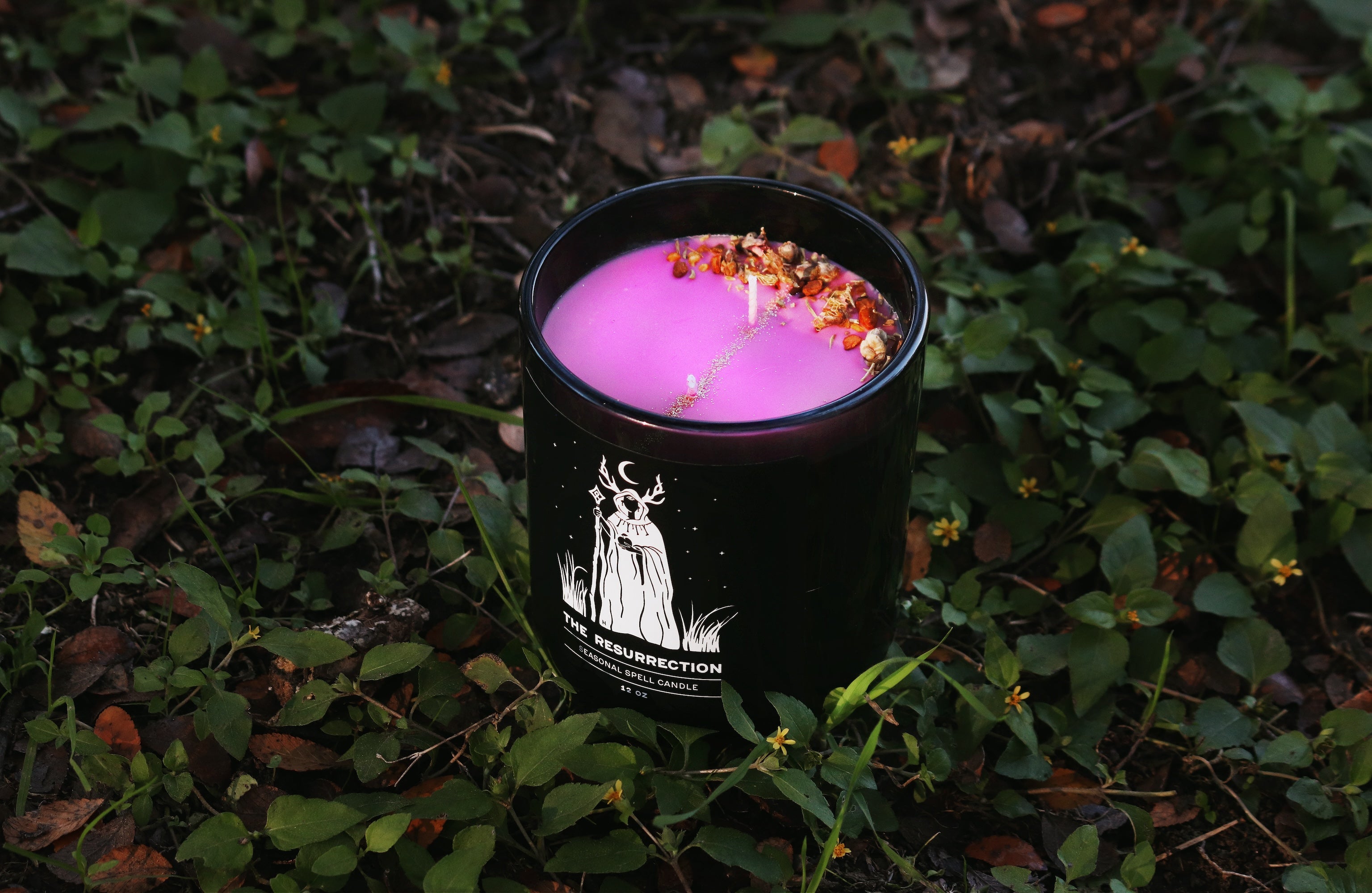Seasonal Candles – Night Wing Goods